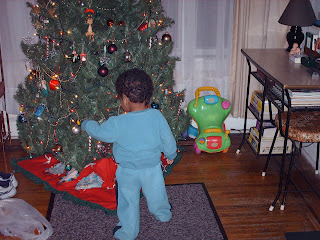 The Booga Wooga & Little Sister Sophia: December 2007