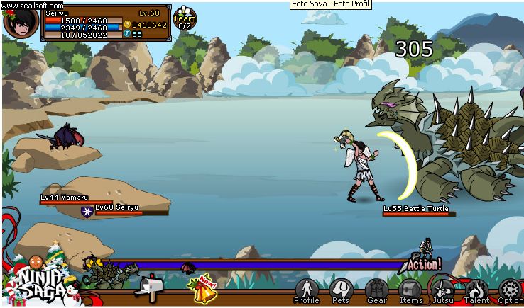 Ninja Saga: Ninja Saga Lv 55 World Boss Battle Turtle