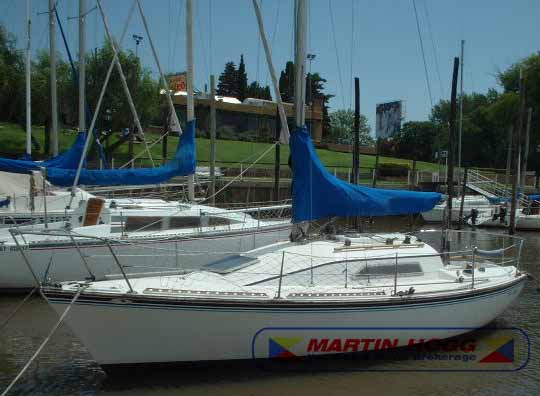 El Mundo Nautico: Pandora 23