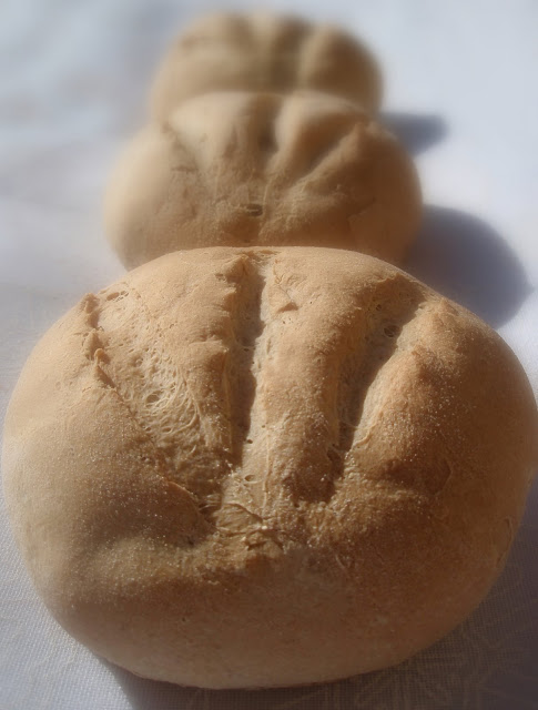 Bocados dulces y salados: PAN SARRACENO