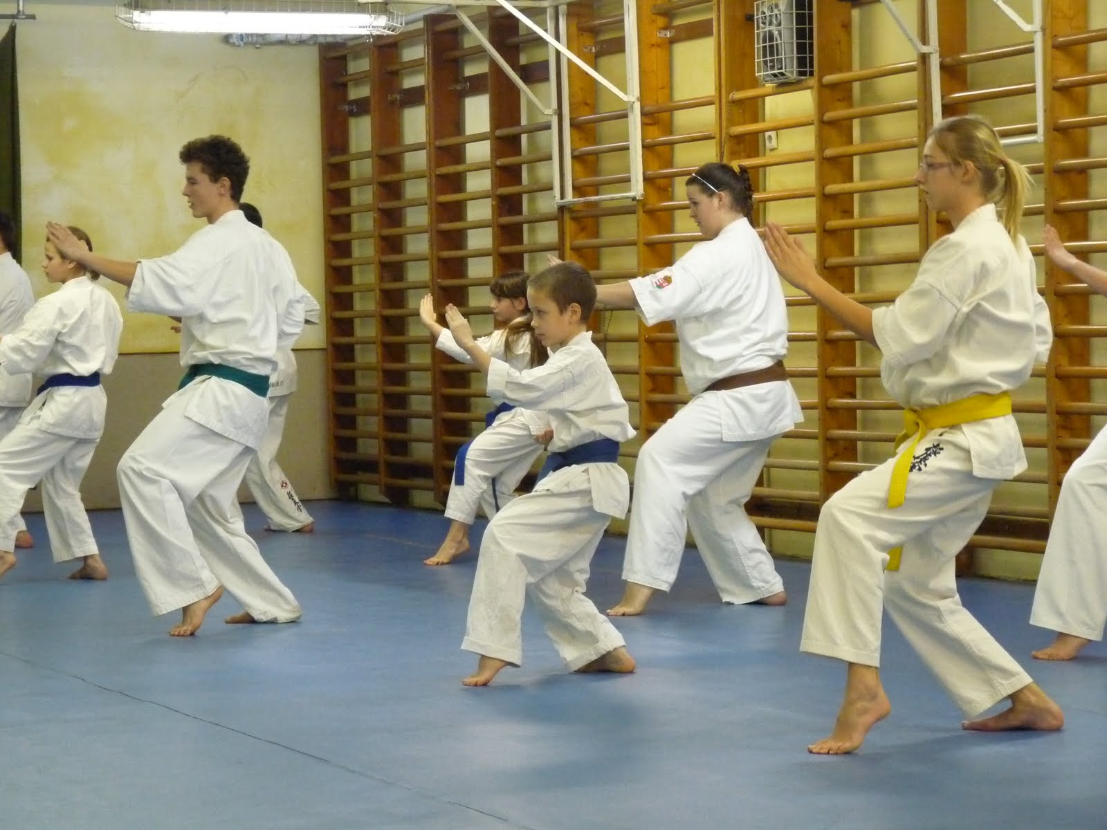 Kyokushin Karate