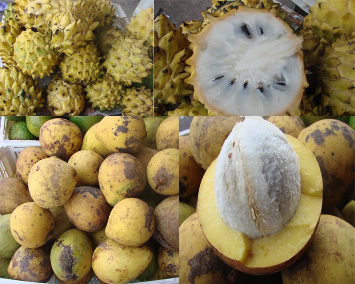 OS DESENTOCADOS & GOURMETIDOS: FRUTAS: biribá e bacuri