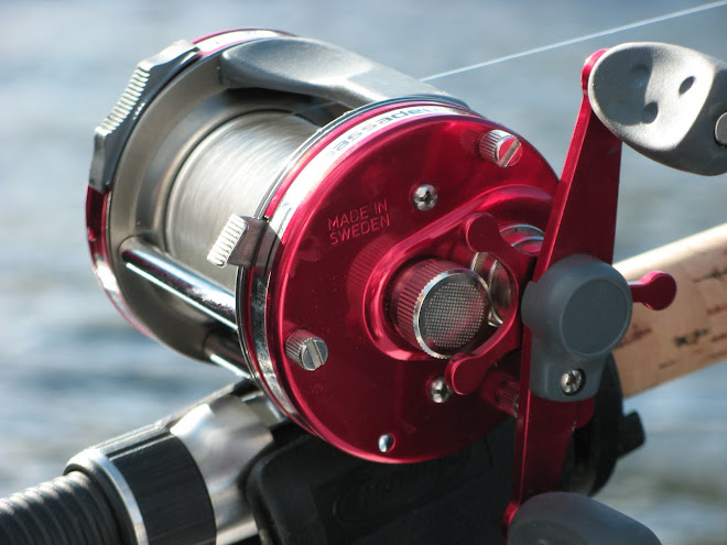 Trolling The Lochs of Scotland: Ferox Trout