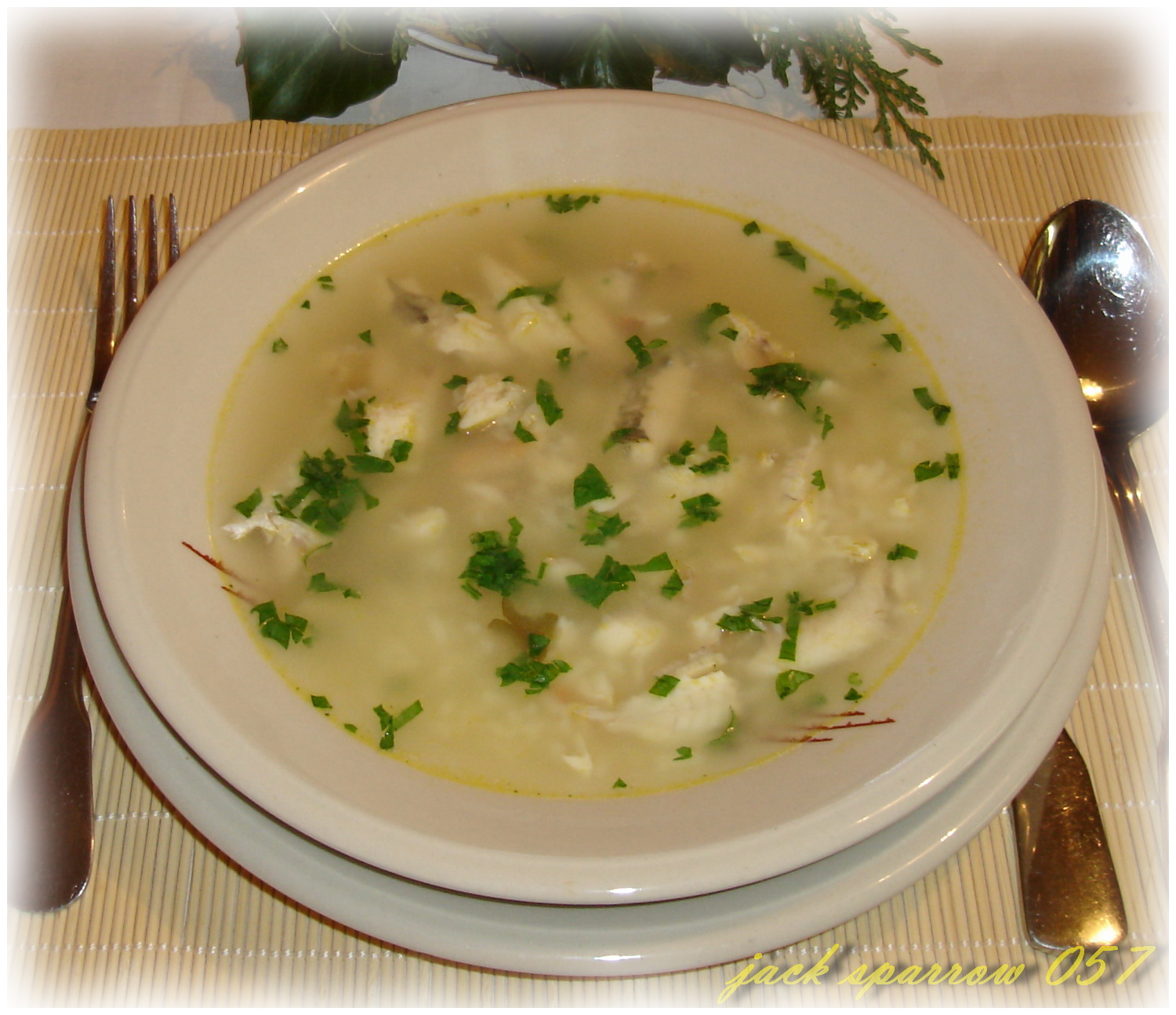 ...jebeš kuhara koji nema sto kila...: ...riblja juha...