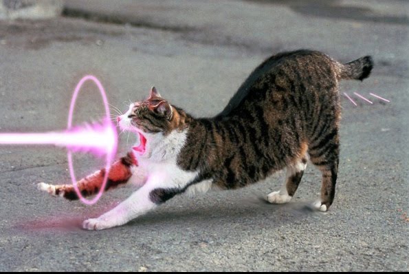 Crónicas do Metatarso: 2009