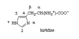 Medicine Newbie: Amino Acids - special amino acids