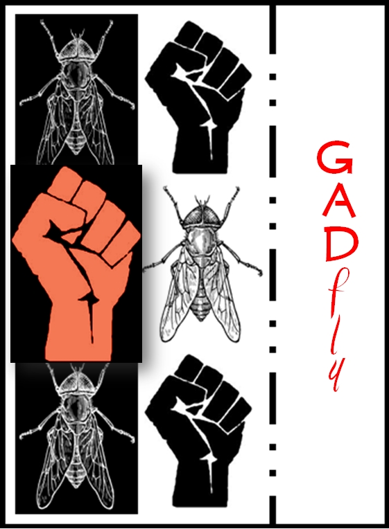 the GADFLY: THE GADFLY
