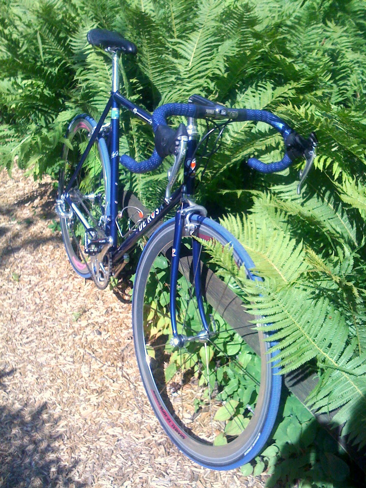 De Rosa Bicycles - BIKEADELIC: De Rosa Neo Primato from Zurich ...