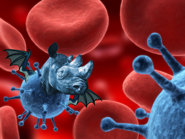 Secret Peace: Good riddance, Rinderpest