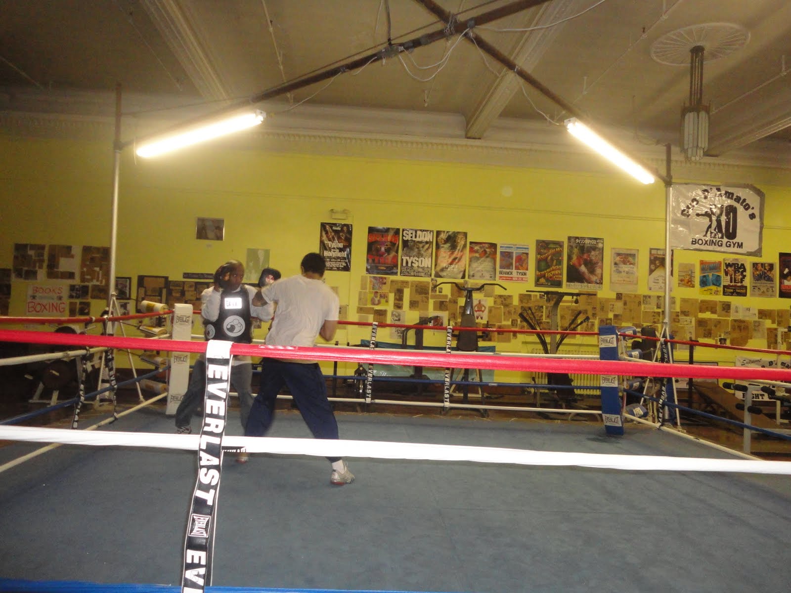 Catskill - Academia onde o Mike Tyson começou | Dicas de NY