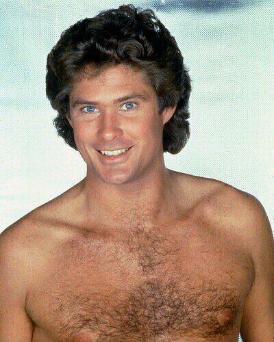 Wallpaper World: David Hasselhoff Wiki | David Hasselhoff Pics