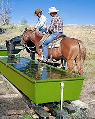 Arrancopelito: Swimming pool or water trough?
