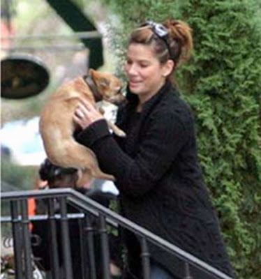 Actressfun: Celebrities & Their Dogs