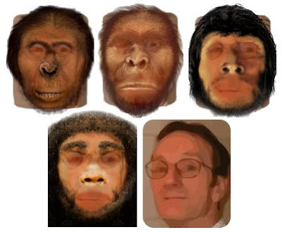 The Presurfer: Devolve Me