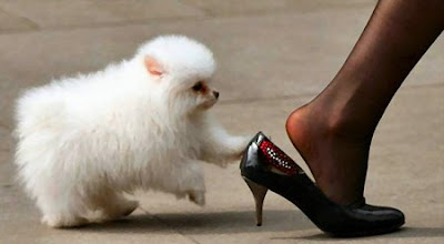 The Presurfer: Droppedit's One-Shoe Scenes In Movies And TV