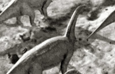 The Presurfer: Evolution Gif