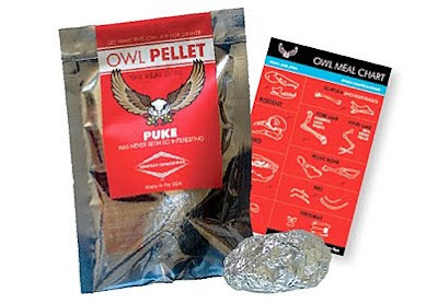 The Presurfer: Owl Puke