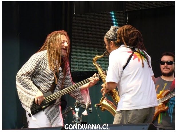 Banda de la Semana: Gondwana