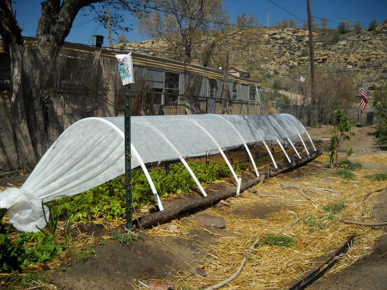 Black Diamond Canyon Kitchen: Low Tunnel Season Extenders