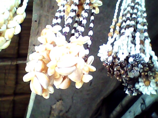 BandilyoEV: Sulangan Island, Guiuan Eastern Samar