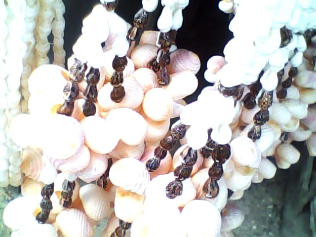 BandilyoEV: Sulangan Island, Guiuan Eastern Samar