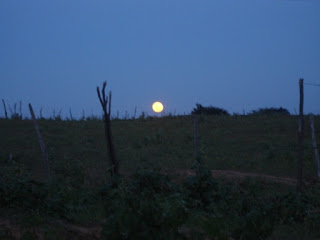 LUAR DO SERTÃO NA LENTE DA STAR BY FÁBIO ARRUDA. | BLOG DO FÁBIO ARRUDA