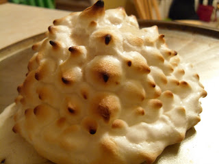 Salutetosanity: August's Daring Baker's Baked Alaska