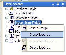 Crystal Reports In Winforms Windows Forms With Parameters