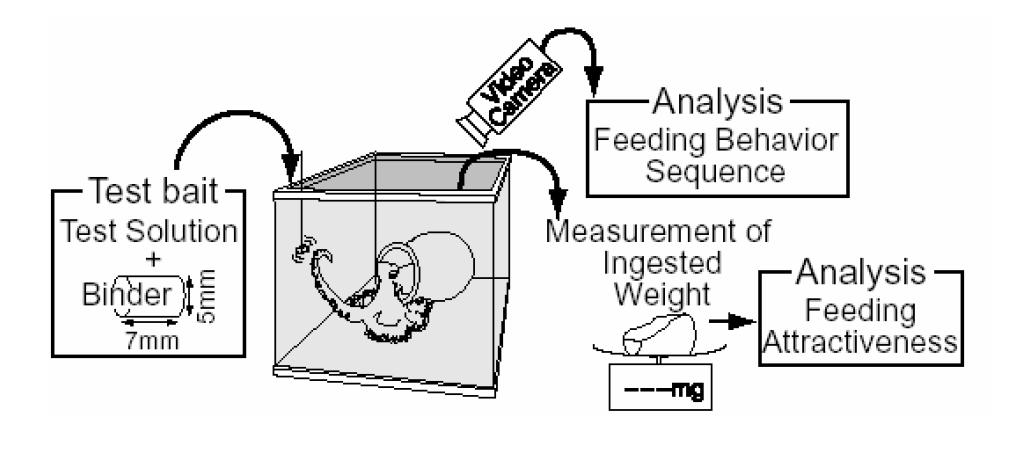 Cephalove: Octopus Olfaction and Ingestive Behavior