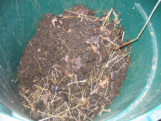 Coon Hollow Farm: Free to a Good Home...Alpaca Manure!!!