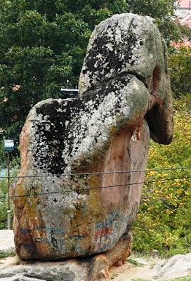 За Македонија и за другите нешта: Македонија - Силјан Штркот