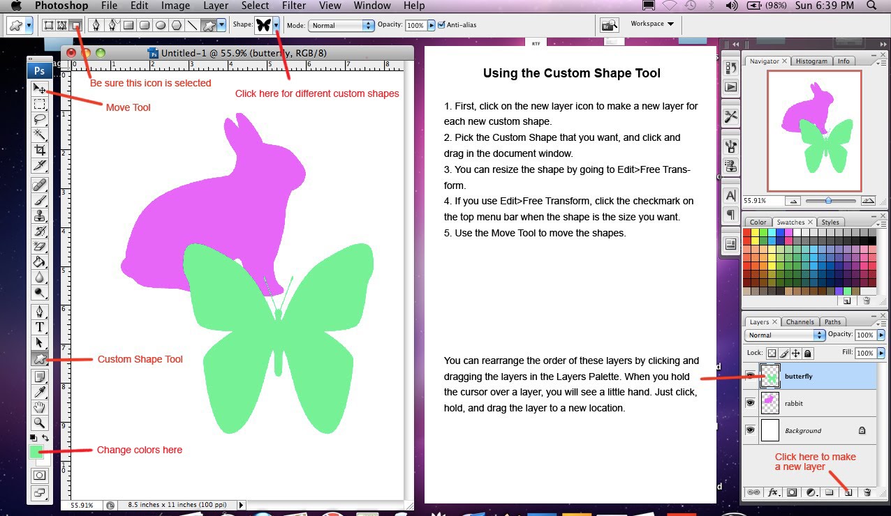 stevecampbell.hillwood: dec 4_custom shape and typing tool quiz 2