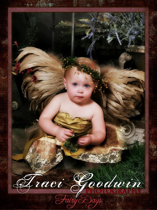 Traci Goodwin Photography
