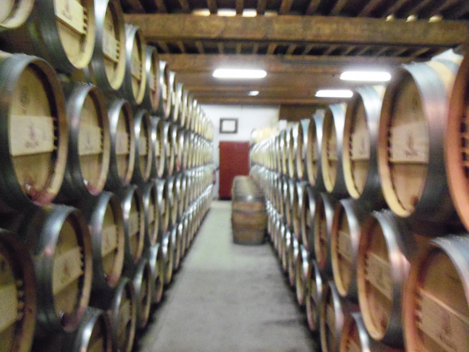 Ndial's Year in Europe: Wine!!!