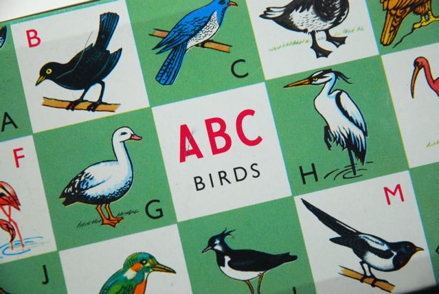 Letterology: ABC Birds