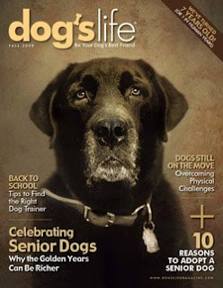 Little Friends Photo: Dog's Life Magazine