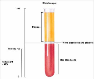 NUTRIZIONE VEGAN: Esami del sangue: L'Emocromo. L'Ematocrito.