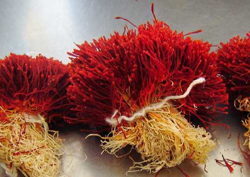 SAFRAN (zaferan): Safran'ın Tarihçesi