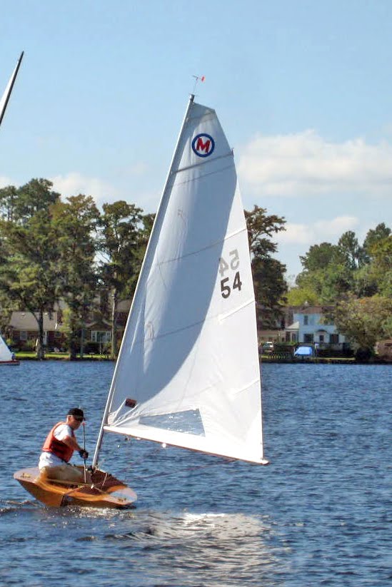 Earwigoagin: 2010 Classic Moth Nationals; Report and Results