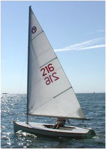 Earwigoagin: Classic Moth Items on the Web