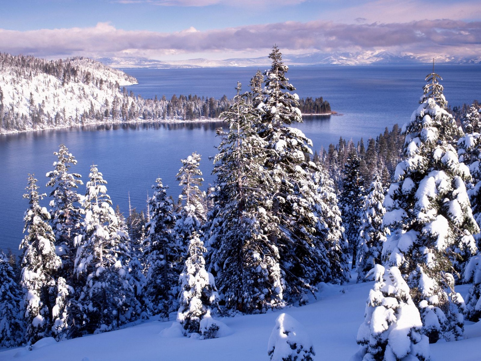 Peisaje de iarna: Peisaje de iarna superbe