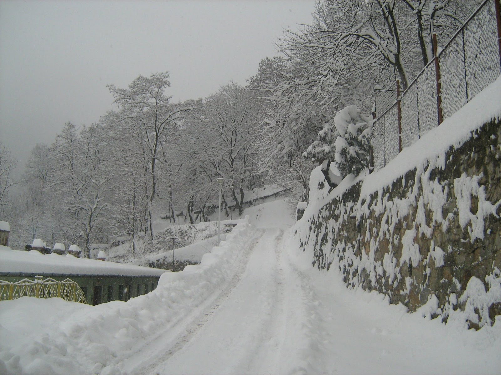 Peisaje de iarna: Pesaje herculane iarna