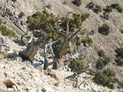 Watching the World Wake Up: Newfoundland Mountains Part 2 - Climbing ...