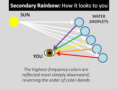 Watching the World Wake Up: How a Rainbow Works