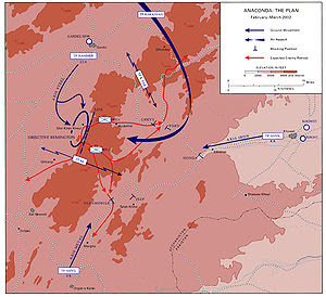 Profile Facts: Operation Anaconda