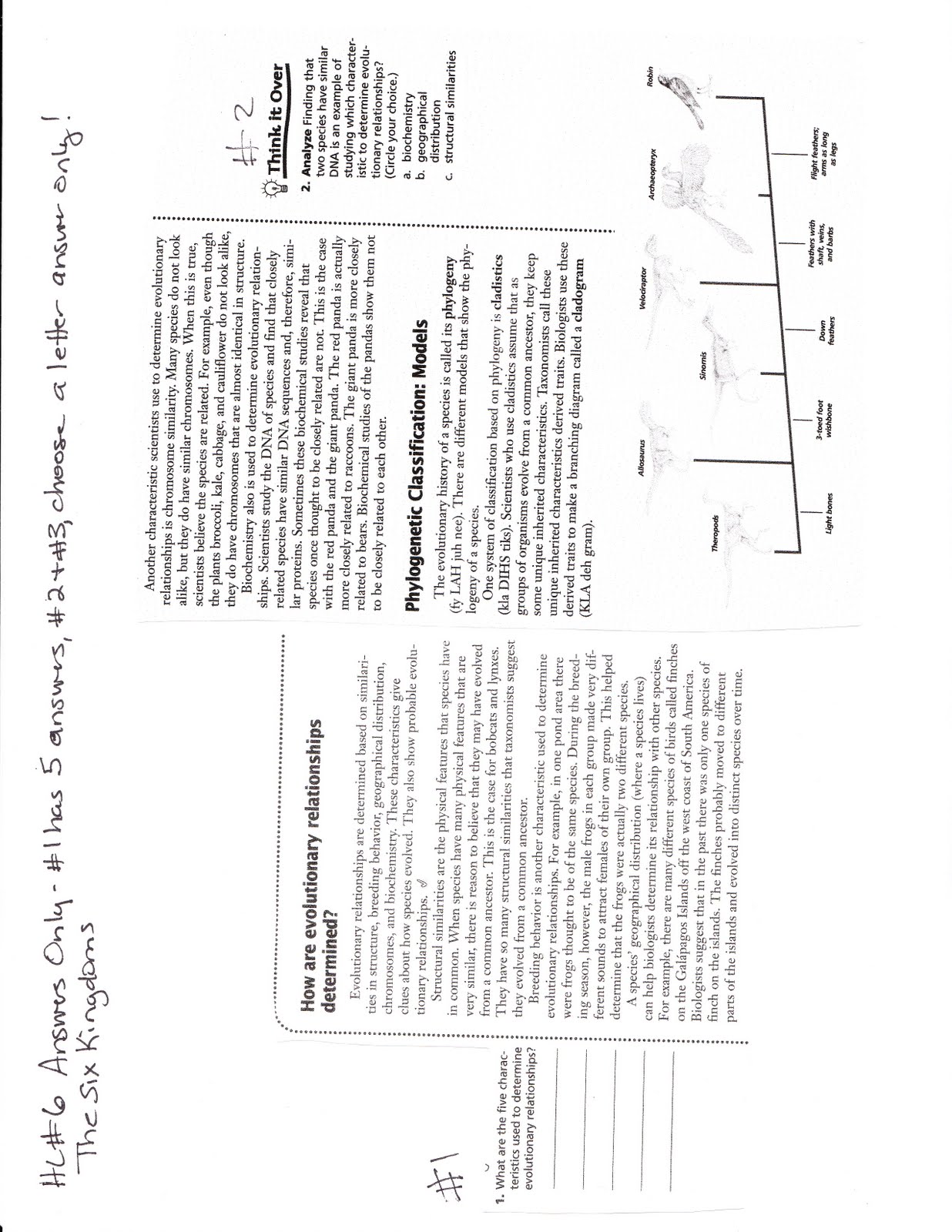 Guided Notes 2014 Six Kingdoms And Three Domains Of Life