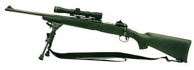 Eclectic Breakfast: On Scout Rifles