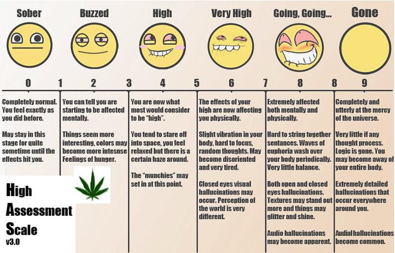 Gimpy Stoner Turtle An Awesome Scale Of Highness gimpy-stoner-turtle-an-awesome-scale-of-highness