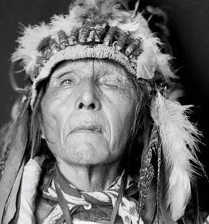 The Watercolour Log: Shot-in-the-Eye