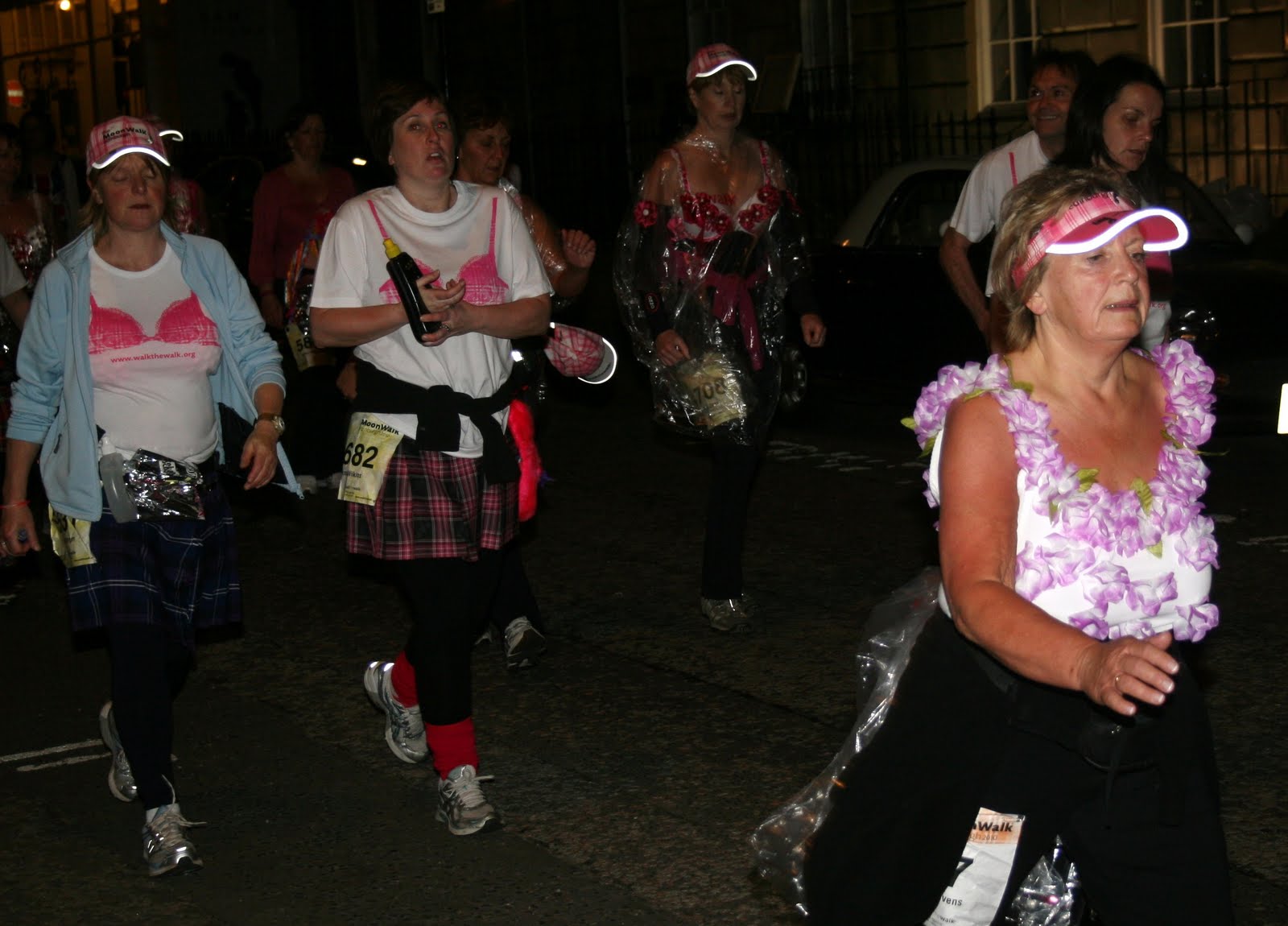 All in the life of me, budgie and friends: Edinburgh Moonwalk marathon ...